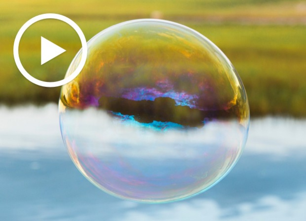 Circular Economy for Sustainable Agriculture | Publicis Sapient