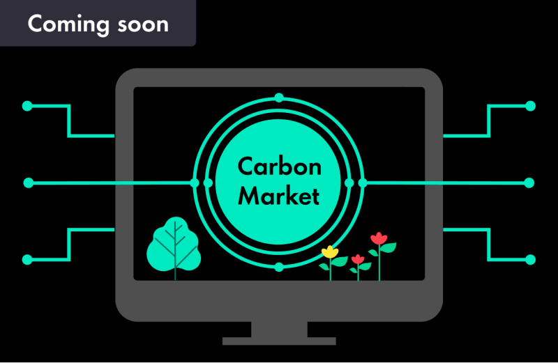 Demystifying Carbon Markets: A Video Series | Publicis Sapient