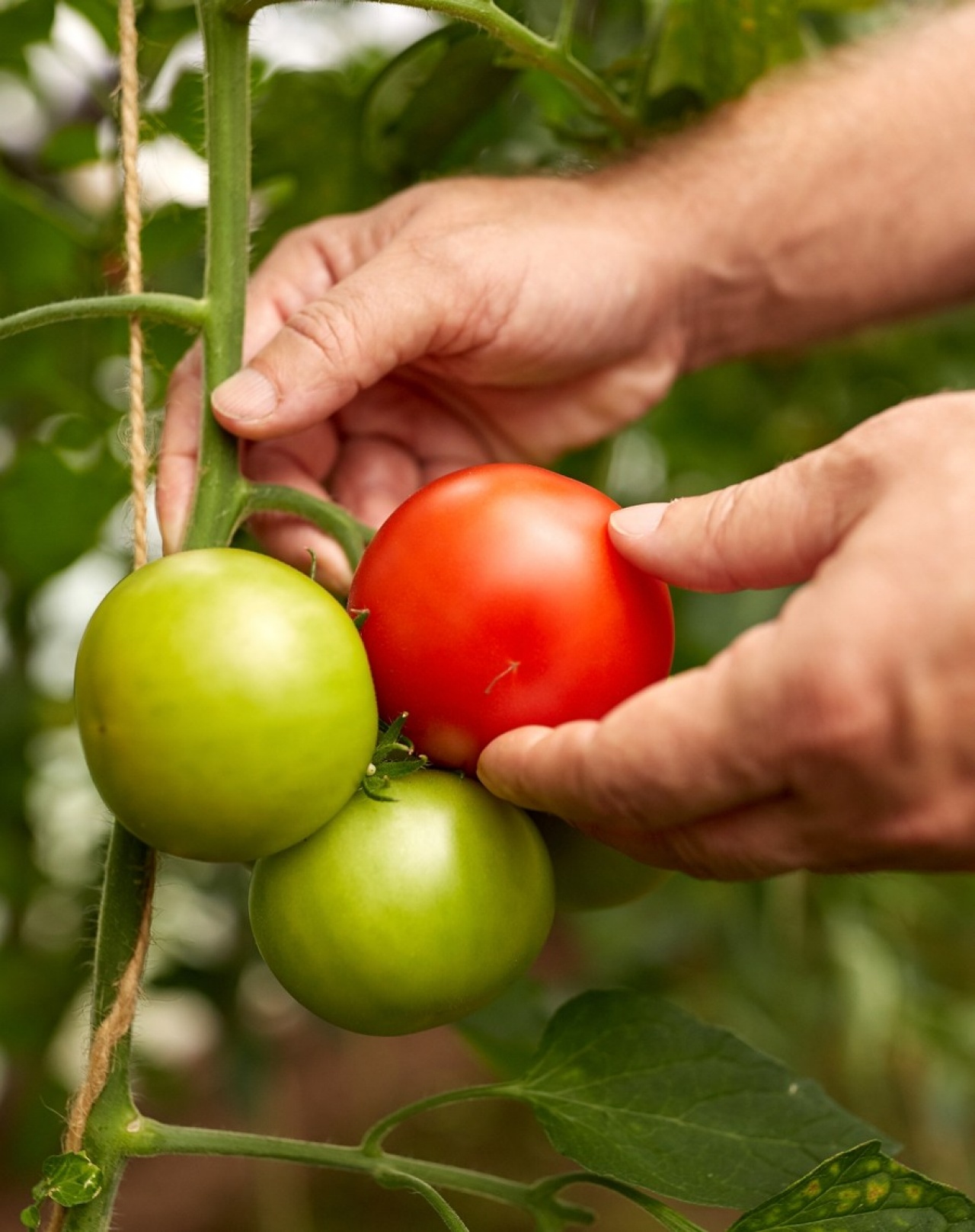 Grocers Encounter Fresh Challenges to Compete With Amazon | Publicis ...