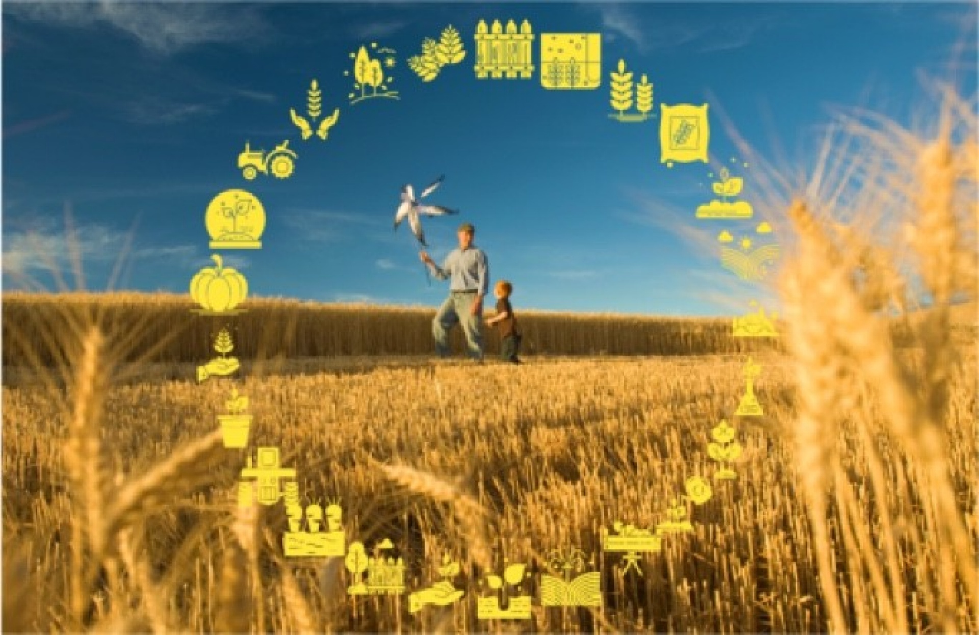 Transforming Farmer Experiences for a Global Ags Conglomerate ...